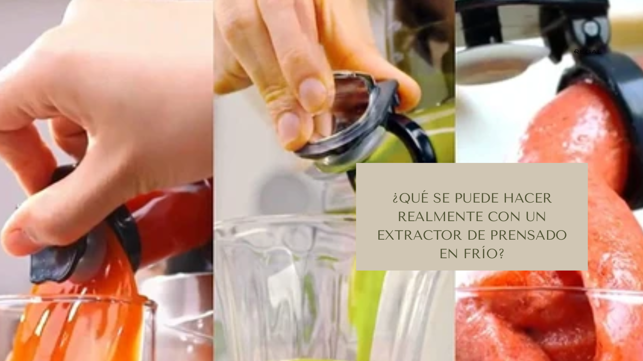 ¿Qué se puede hacer realmente con un extractor de prensado en frío ...